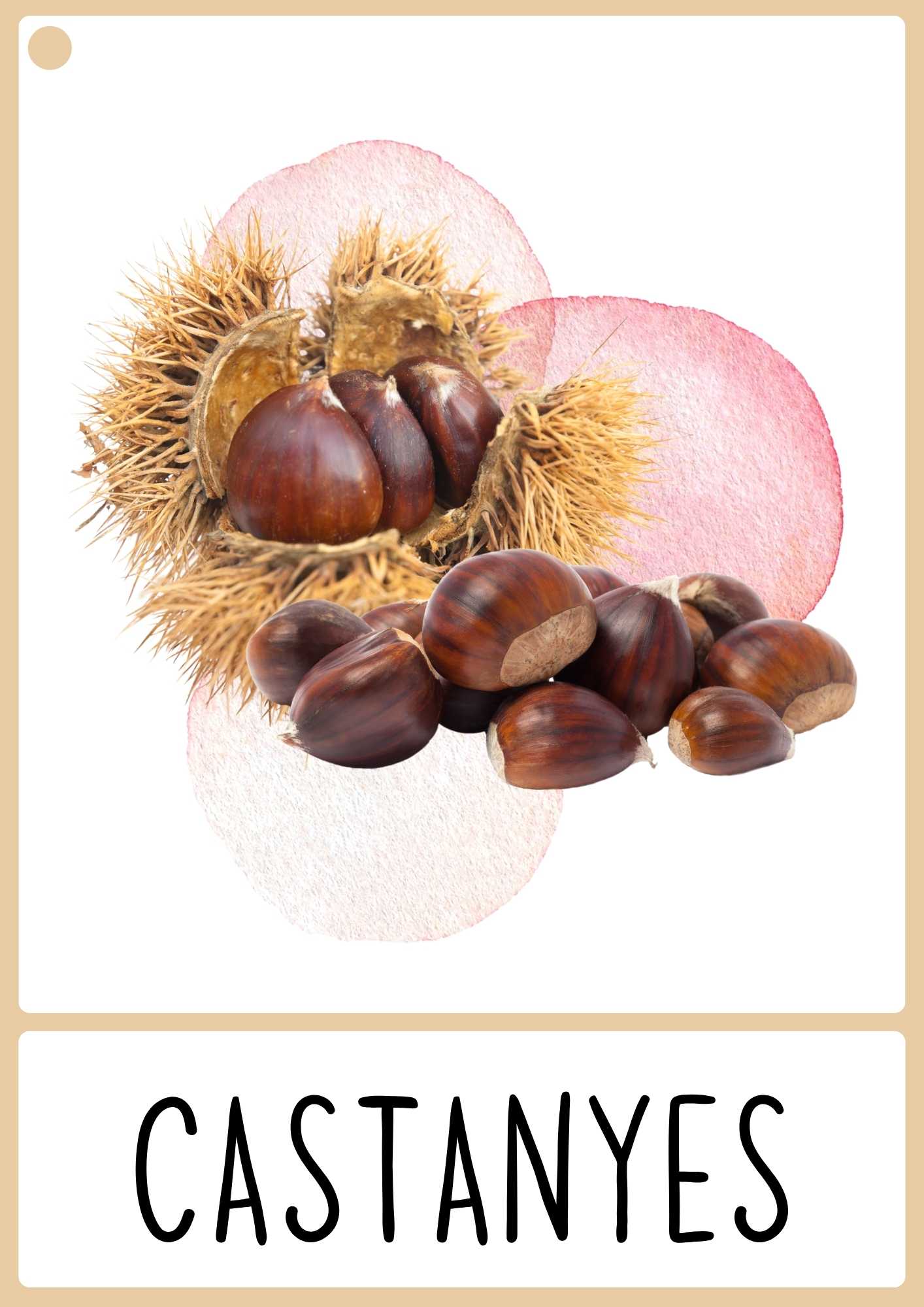 Profes Papel Tijera Targetes de vocabulari de TARDOR