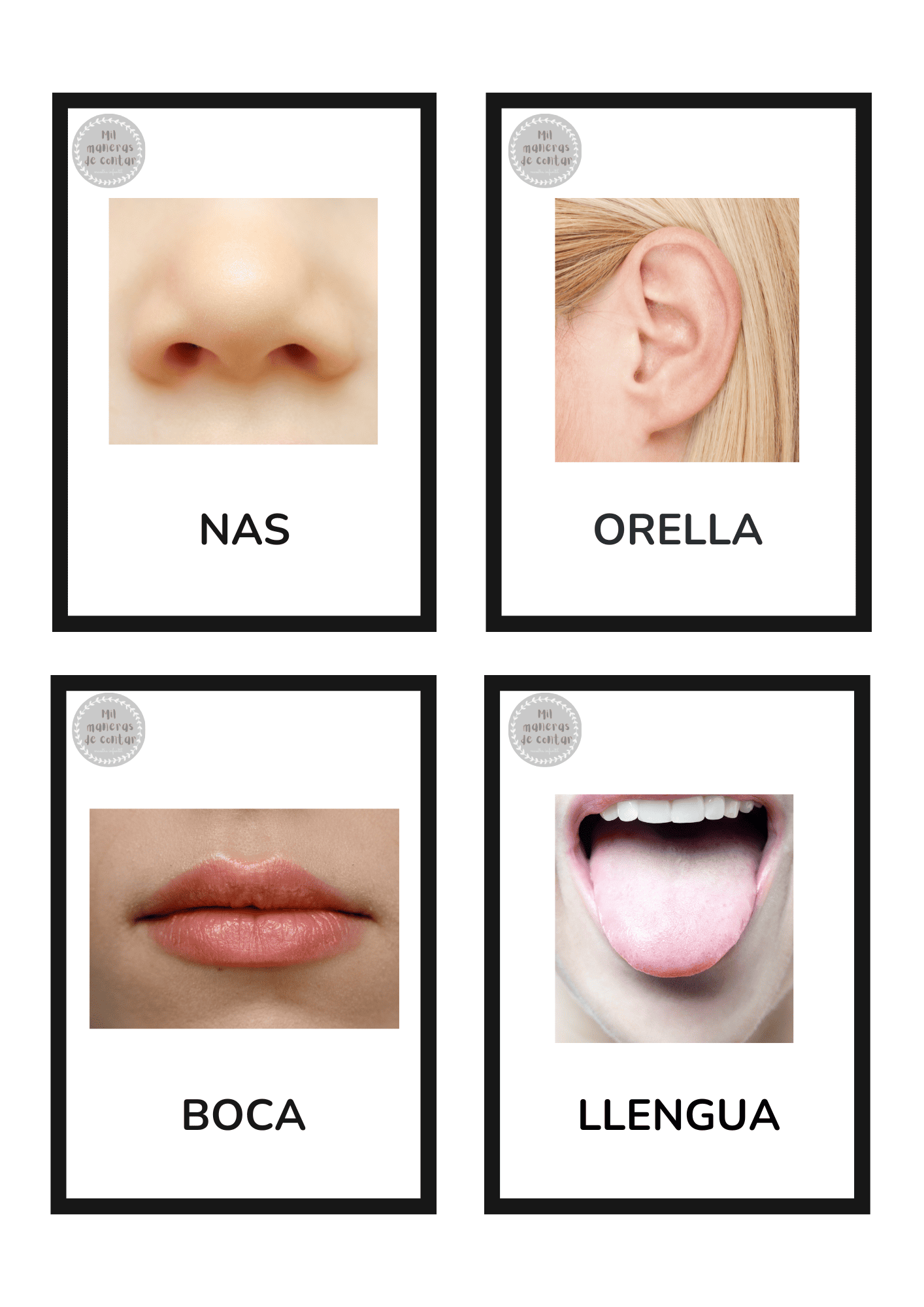 Profes Papel Tijera FLASHCARDS VOCABULARIO CUERPO HUMANO