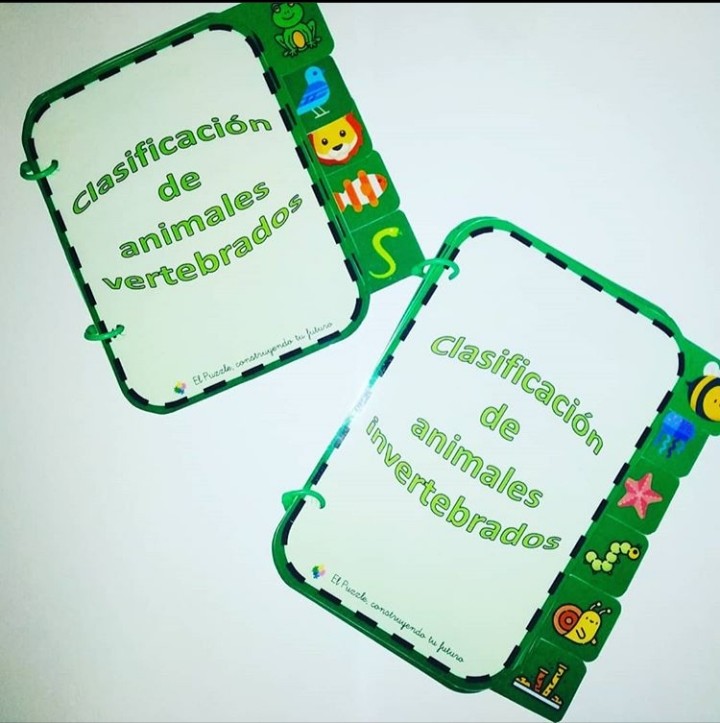 Profes Papel Tijera Clasificación de animales