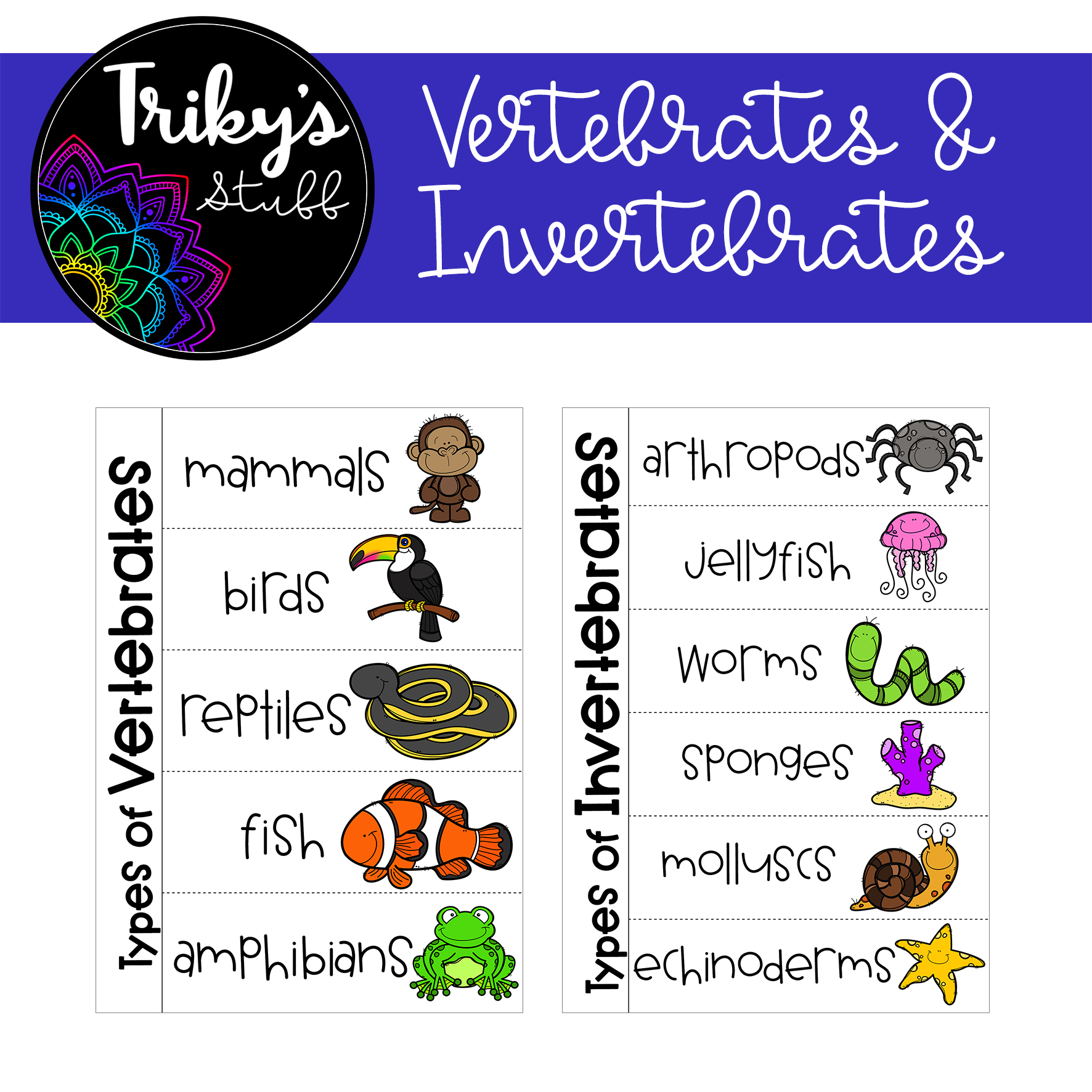 Profes Papel Tijera Vertebrate and Invertebrate Animals