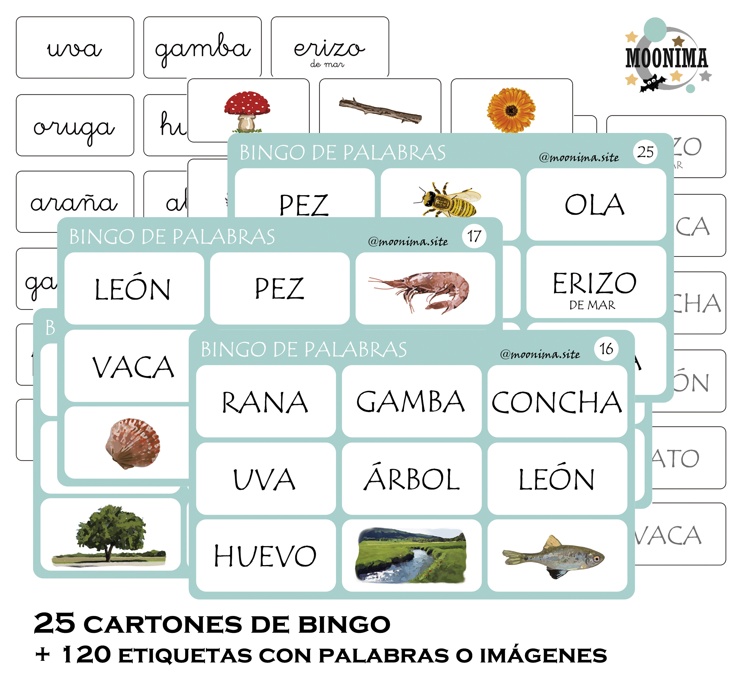 Profes Papel Tijera BINGO DE PALABRAS