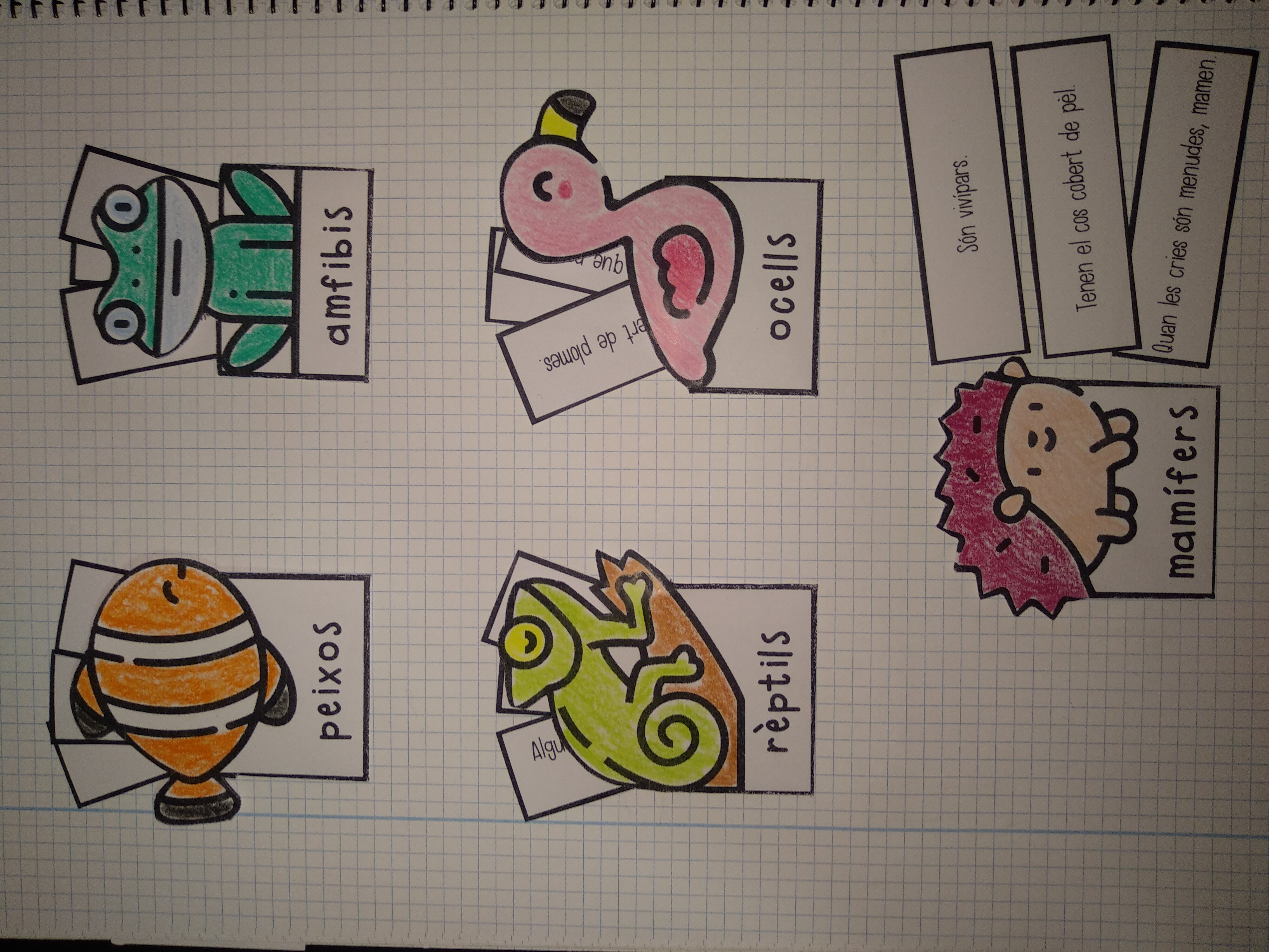 Profes Papel Tijera Animals: mamífers, ocells, peixos, rèptils i amfibis