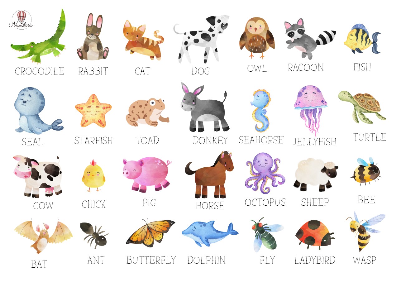 Profes Papel Tijera Libro interactivo sobre los animales II