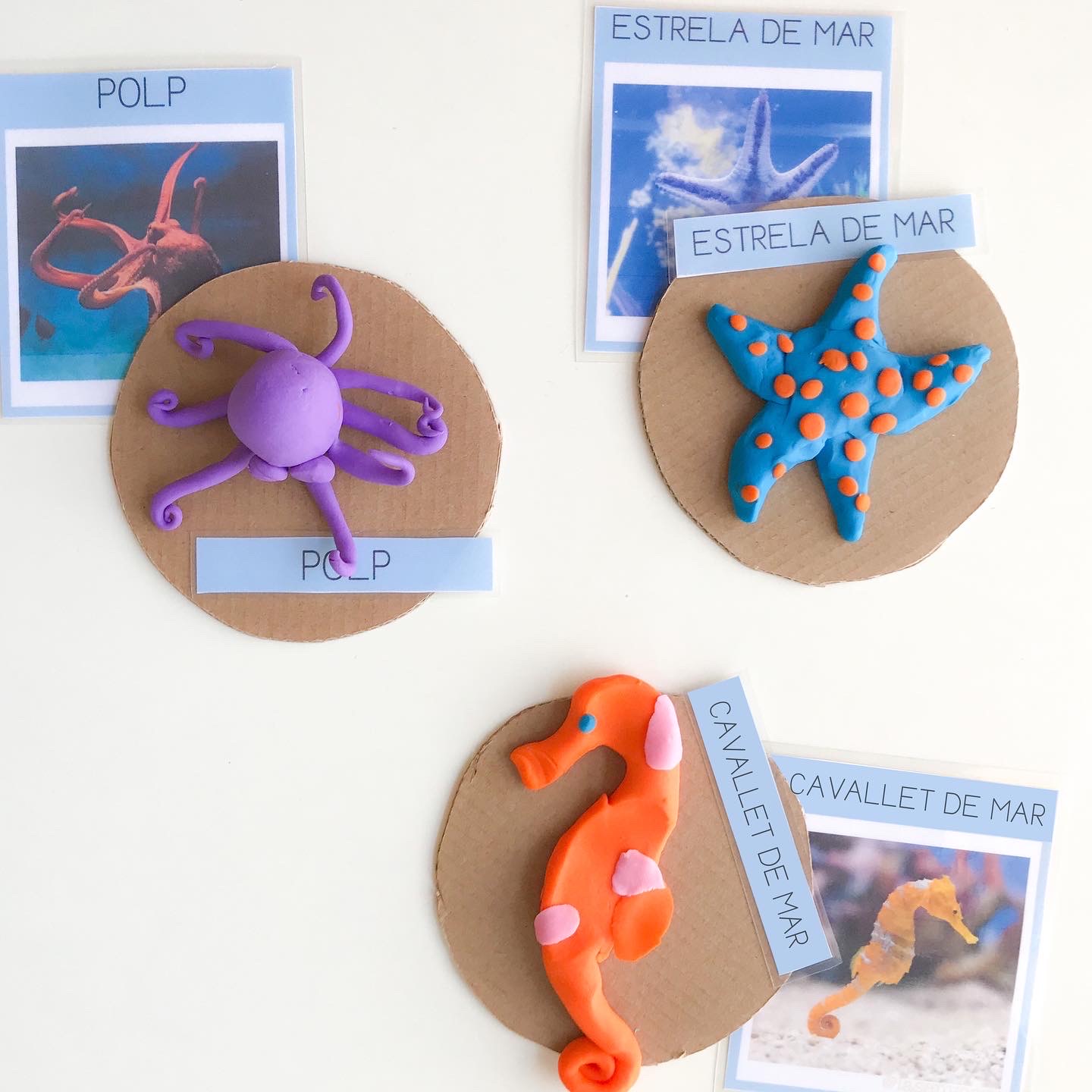 Profes Papel Tijera tarjetas vocabulario marino